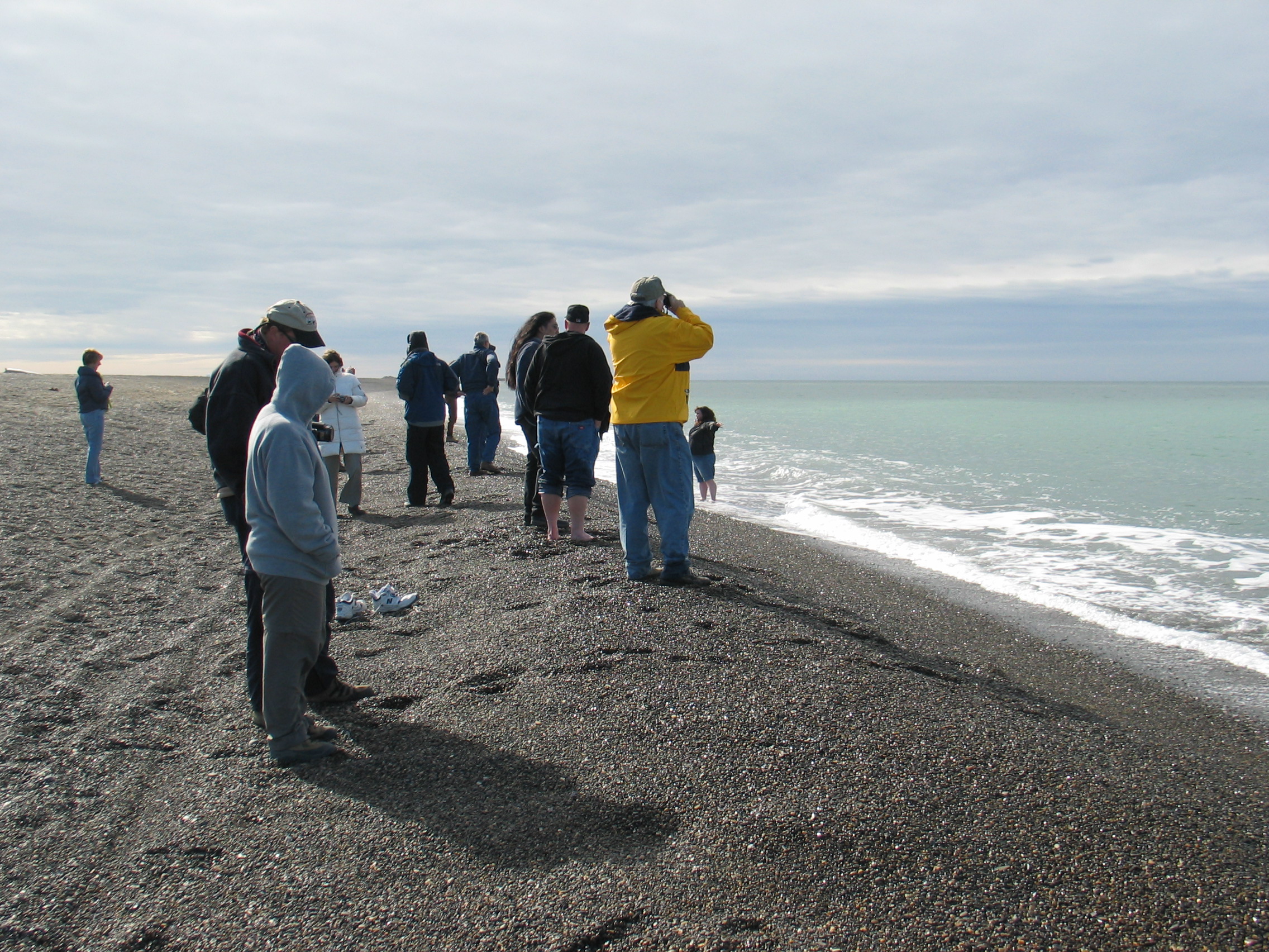Utqiaġvik (Barrow) Adventures | Northern Alaska Tour Company